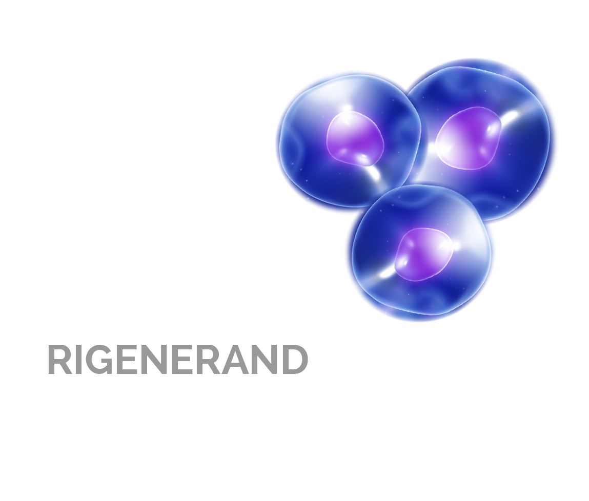 Development of technologically innovative systems based on ...